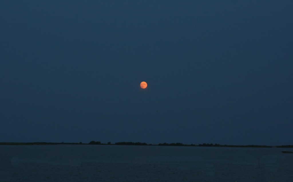 Escursione in bicicletta nel Delta Po: Una Pedalata al Tramonto - itAdria
