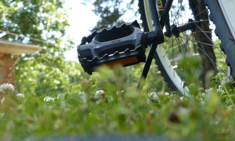 Escursione in bicicletta nel Delta Po: Una Pedalata al Tramonto - itAdria