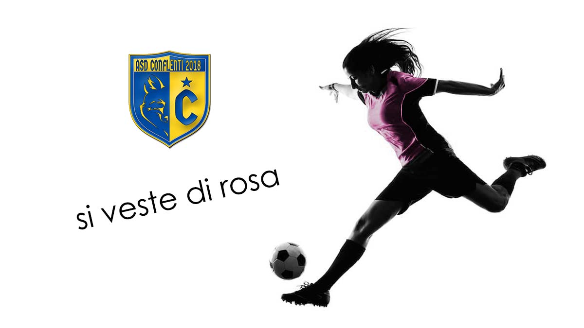 L'ASD Conflenti si veste di rosa: nasce il calcio a 5 femminile ...