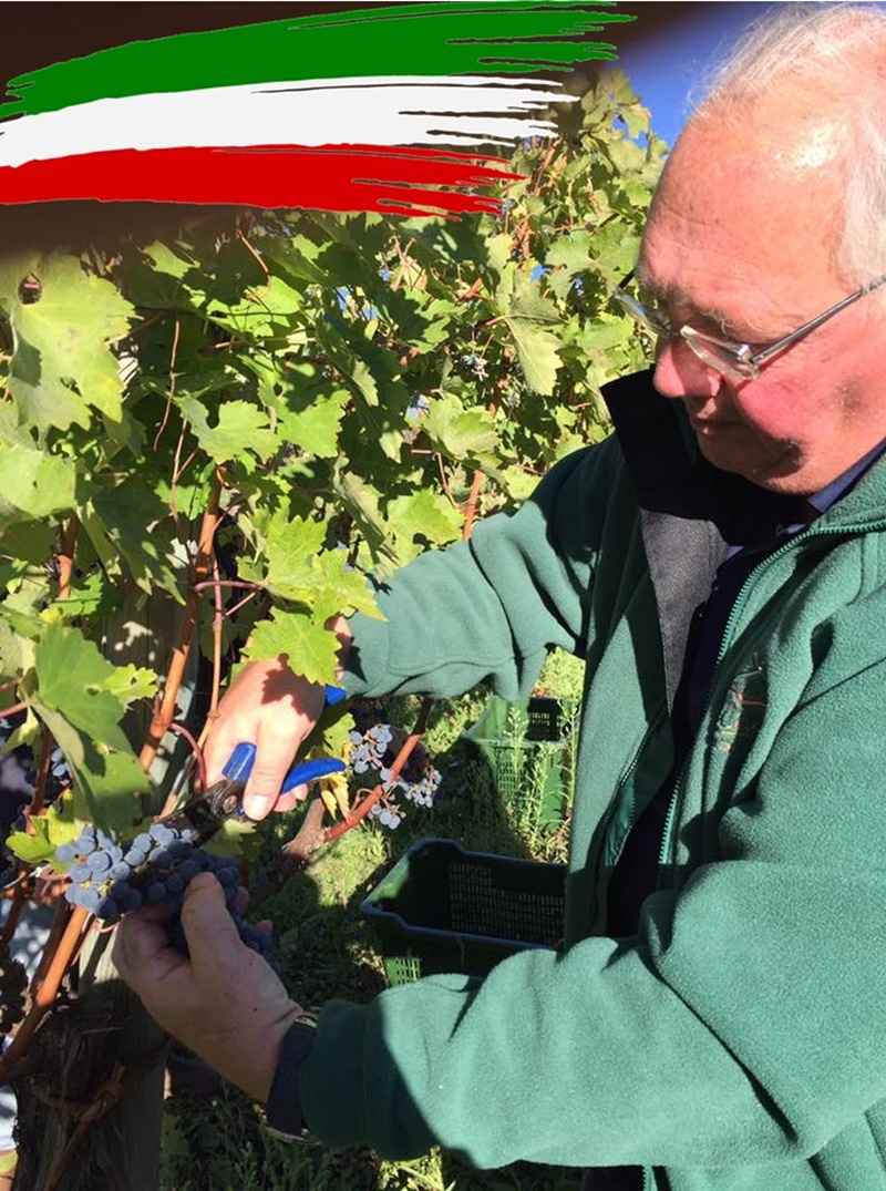 Da Picinisco a Cockenzie l’incredibile storia dei Di Ciacca - itFrosinone