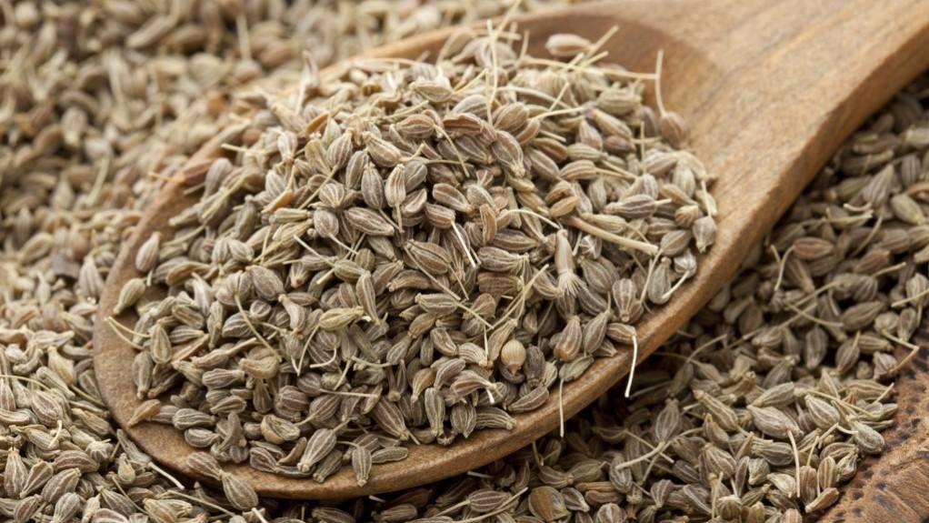 Gli anicini, i profumatissimi biscotti della tradizione calabrese - itLameziaTerme