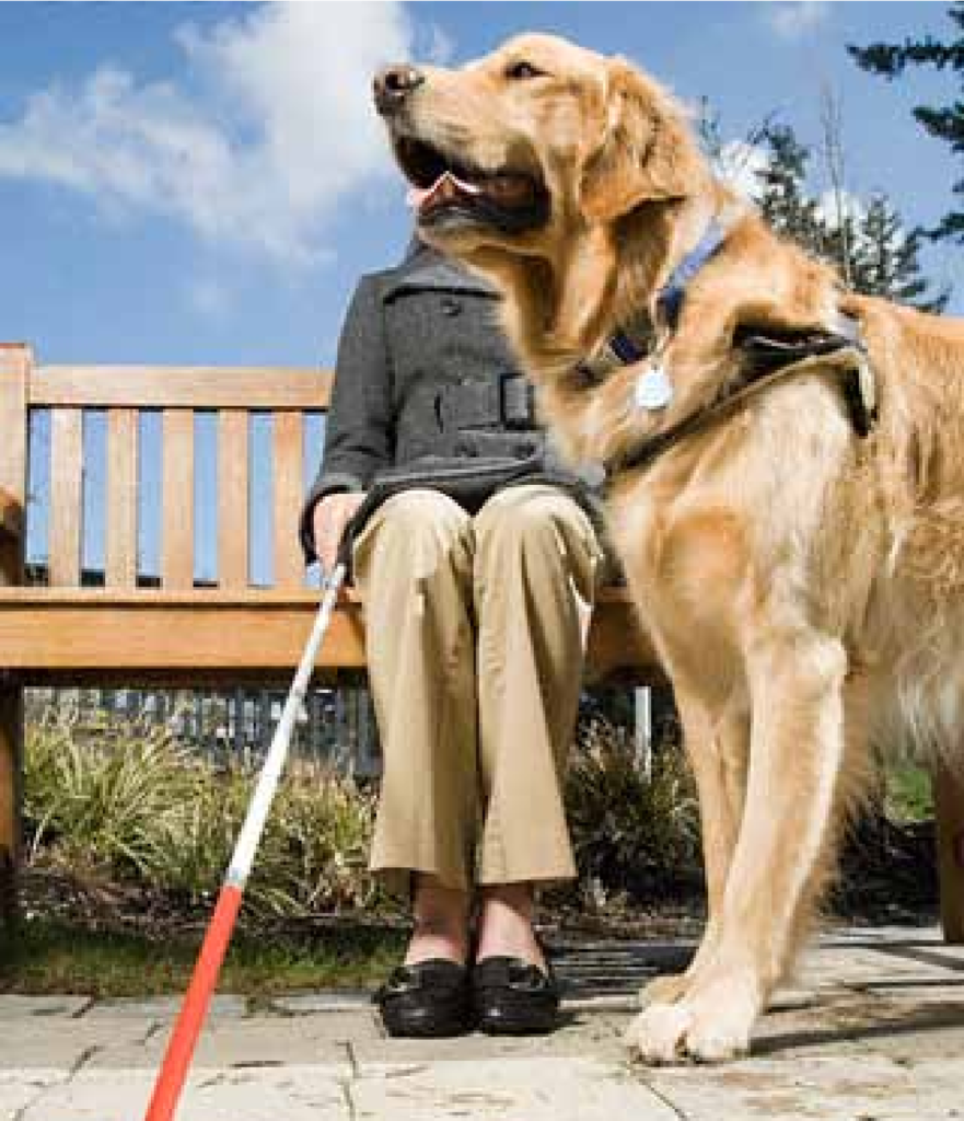 Camilla Di Pace, giovane coraggiosa di Latina e il suo amato e ...