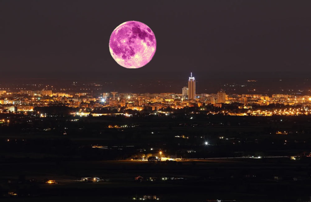 Notte rosa a Latina, una festa imperdibile - itLatina