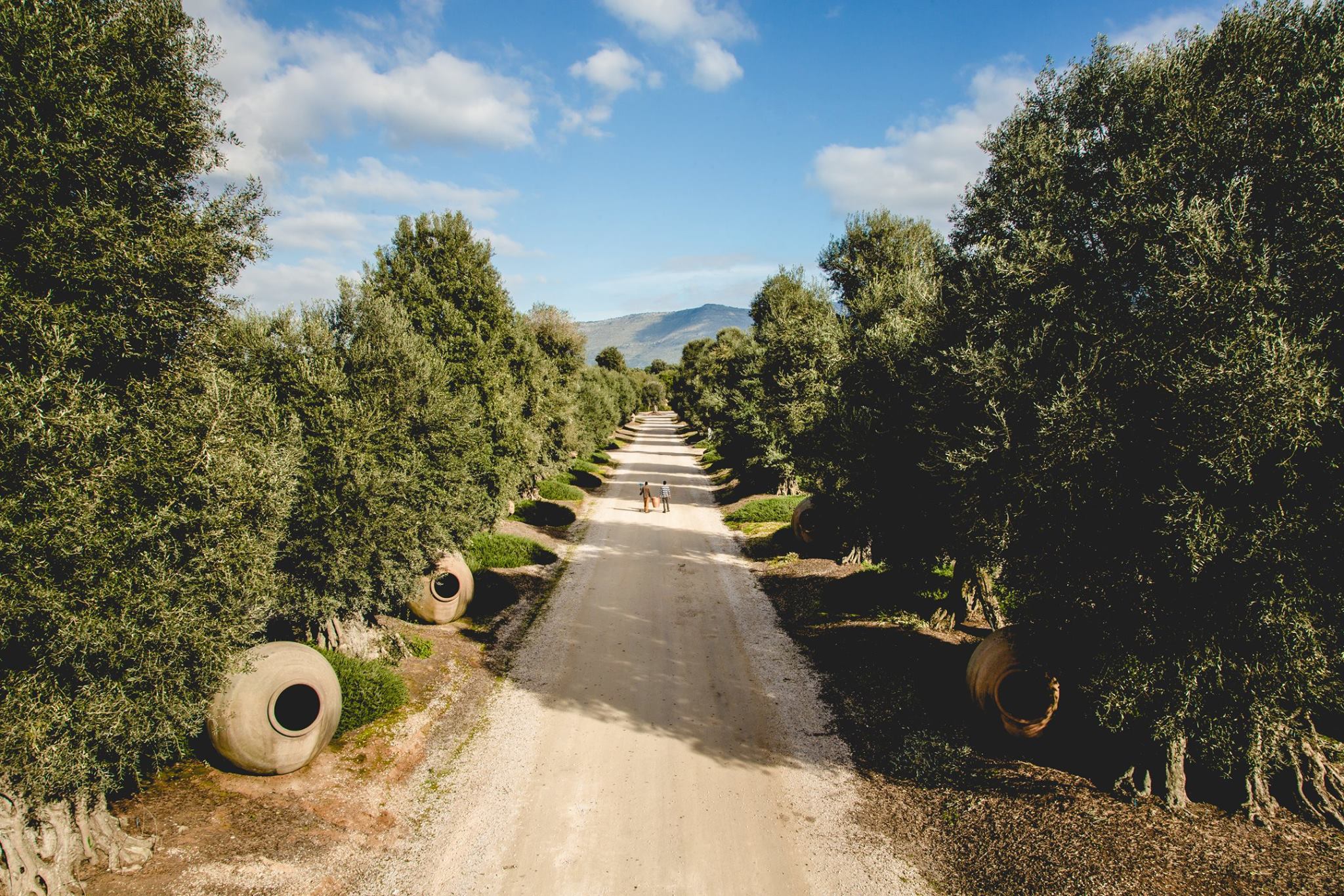 Vivaio Aumenta, un parco immenso con scorci da fiaba - itLatina