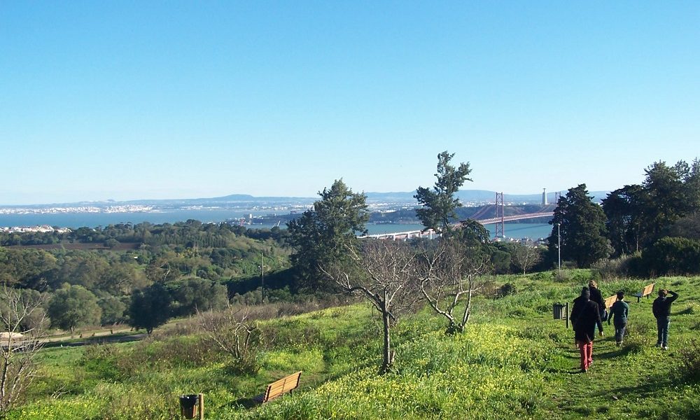 Il Parco Forestale di Monsanto, polmone verde di Lisbona