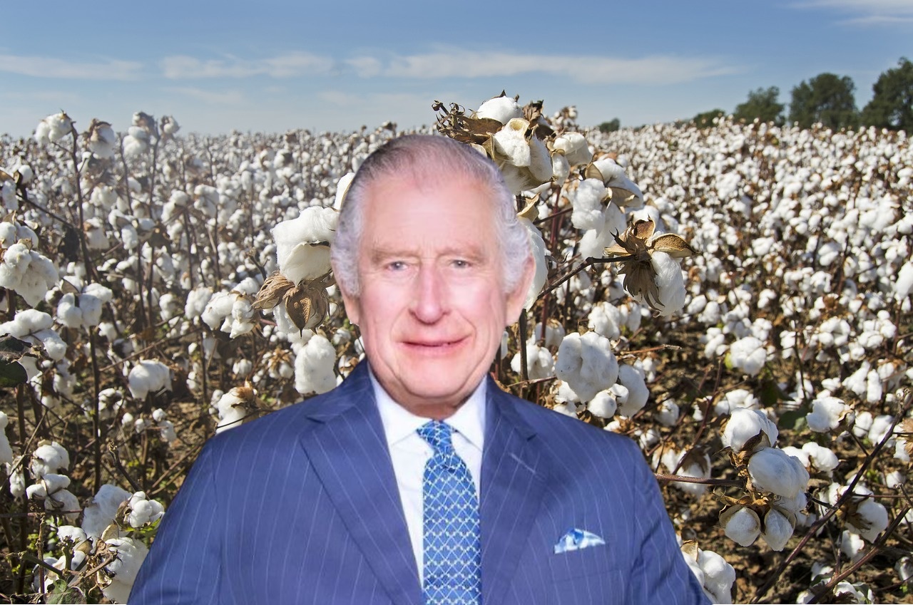 Re Carlo e le piantagioni di cotone in Puglia - itLondra