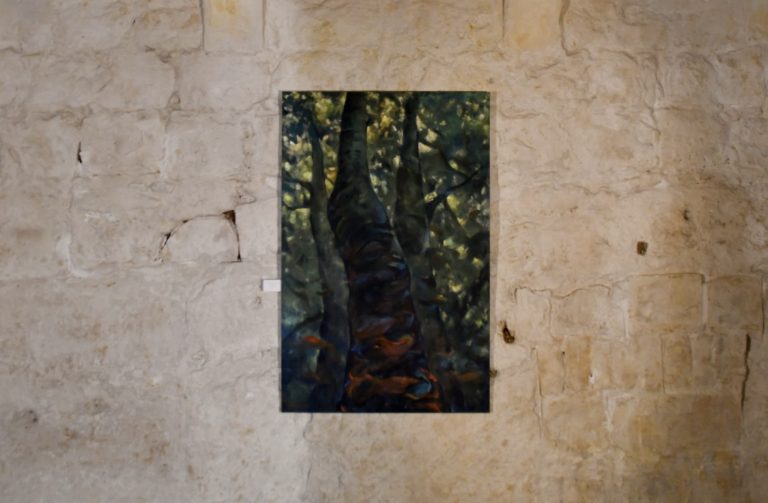 Metamorphosis: Anna Galea espone alla Dante Alighieri - Malta - itMalta