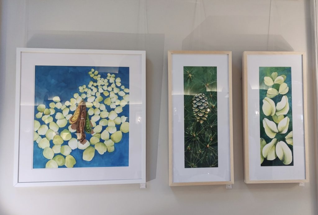 Hello Summer: Anna Galea incanta il pubblico con i suoi dipinti - itMalta