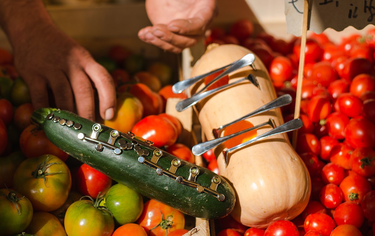 Edible orchestra, quando anche i frutti della terra fanno musica - itMatera