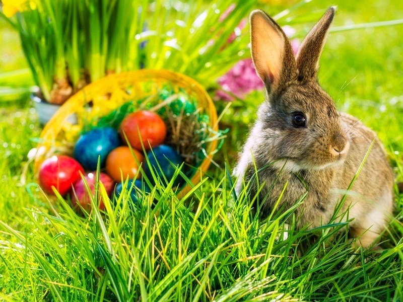 Pasqua a Toronto: alcuni suggerimenti per divertirsi durante il weekend